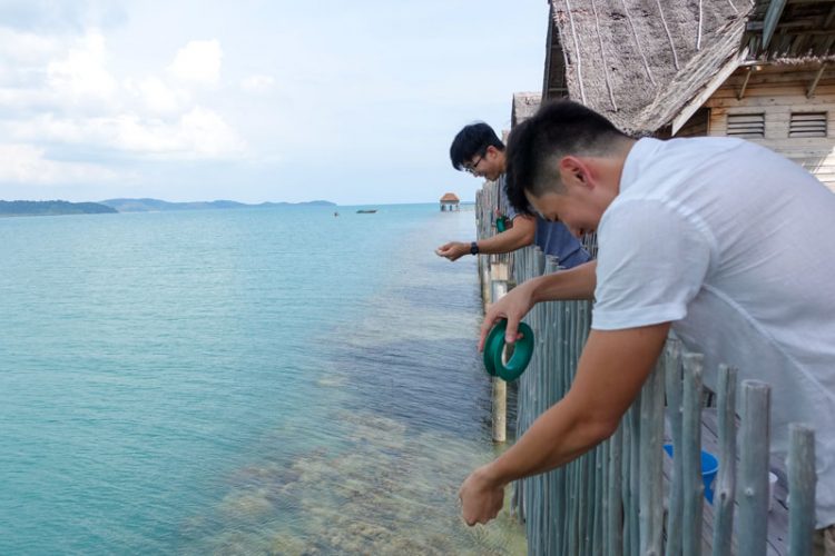 Telunas Private Island: No WiFi No Problem, Escape To A Pristine ...