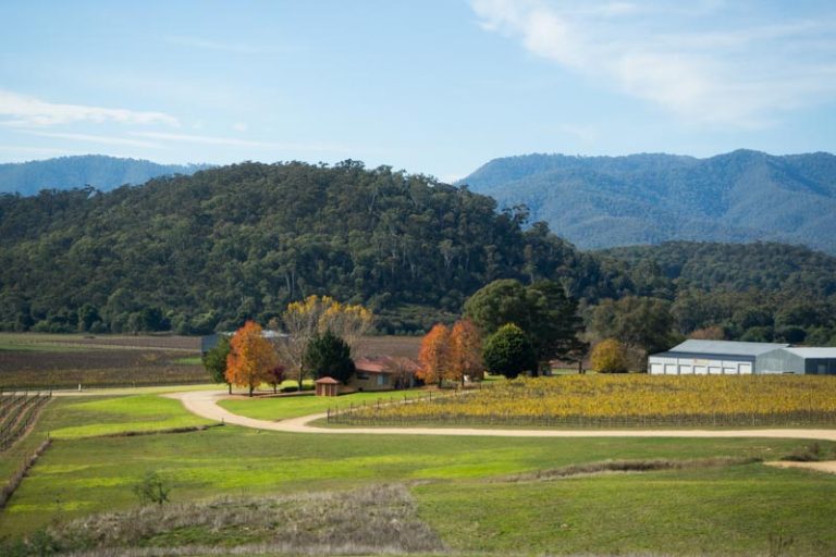 15 Foodie Things To Do When Visiting The High Country, Victoria
