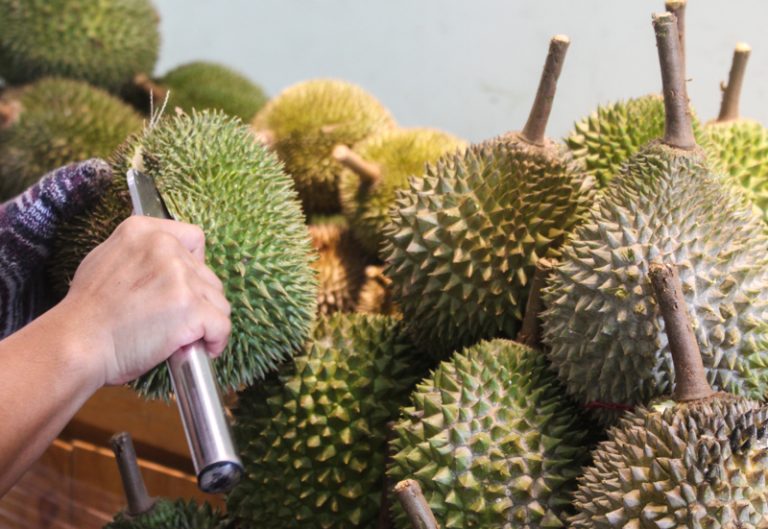 The Durian Story: Indulge In Mouth-Watering Durian Grades In An Air ...