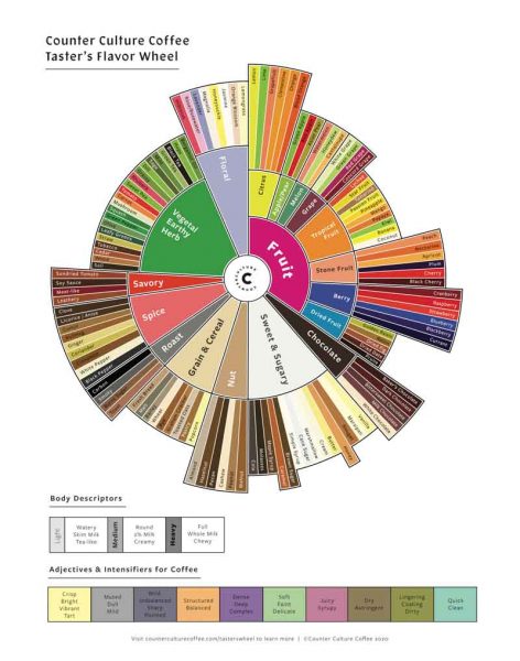 Produce Explained: 6 Types of Coffee You Can Find in the Supermarket