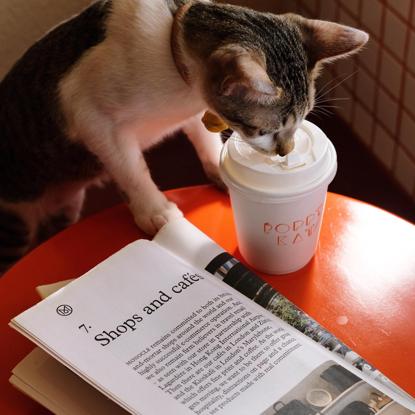10 most Instagrammable cafes in Klang Valley for you to visit this weekend