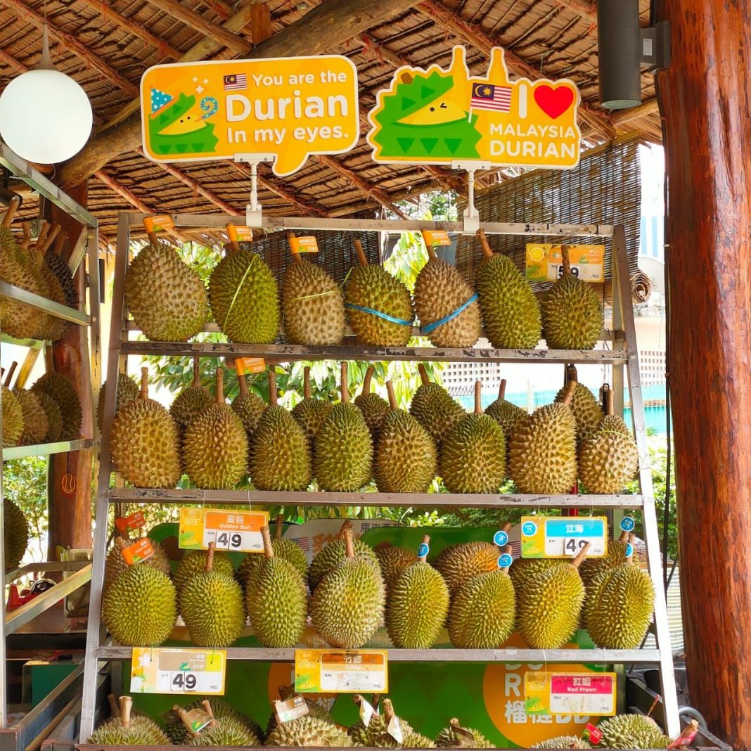 10 best shops in Klang Valley to buy durian before durian season ends