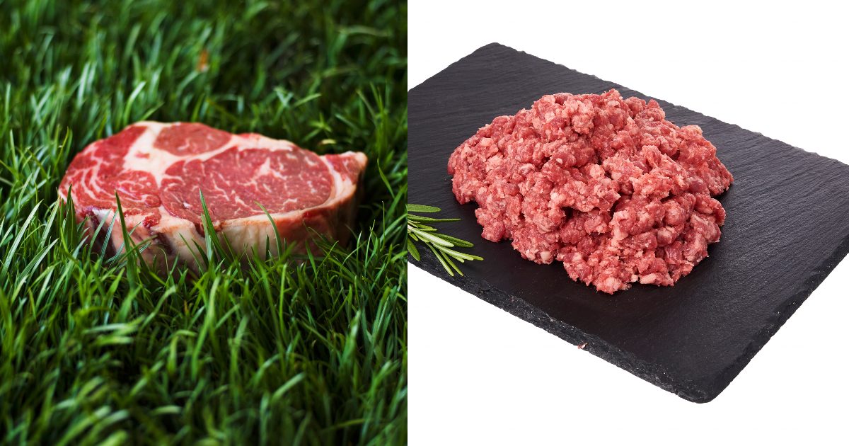Roots Regenerative: The next generation of grass-fed & hormone-free ...