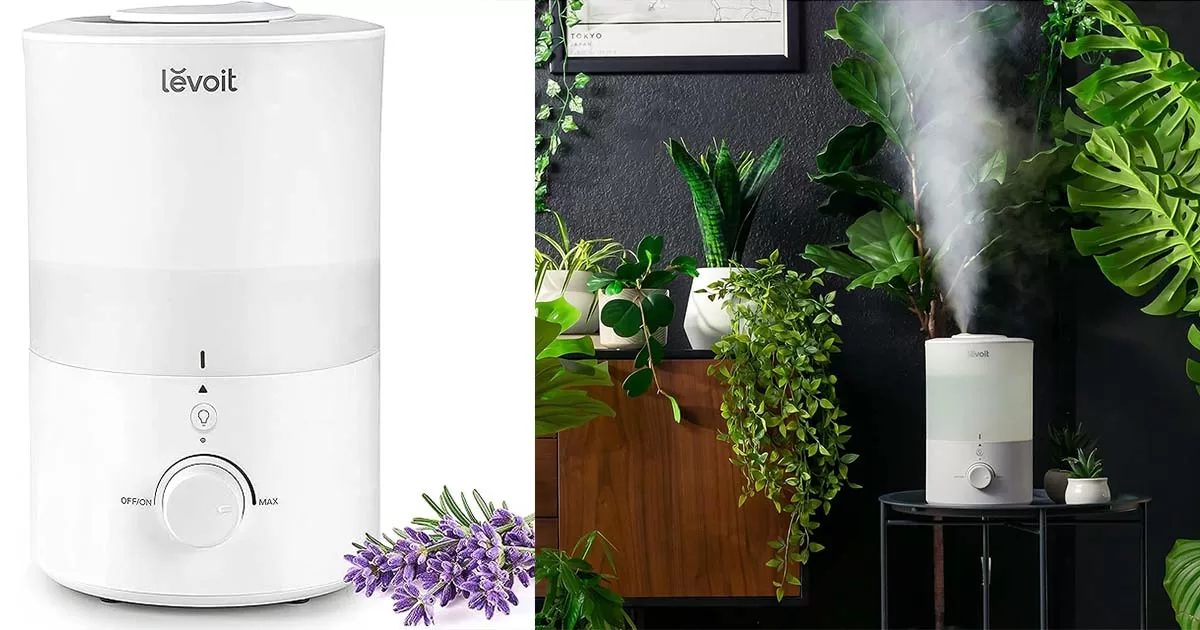 10 best humidifiers for your home & office, and how to choose one [Oct ...