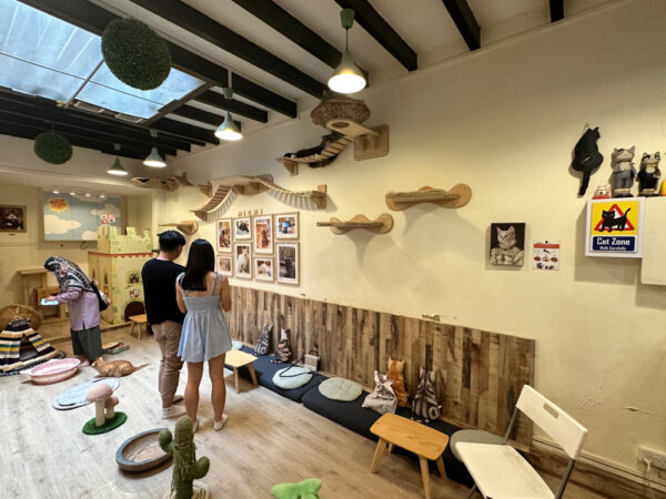 10 dog & cat cafes where you can play with adorable furry friends in ...