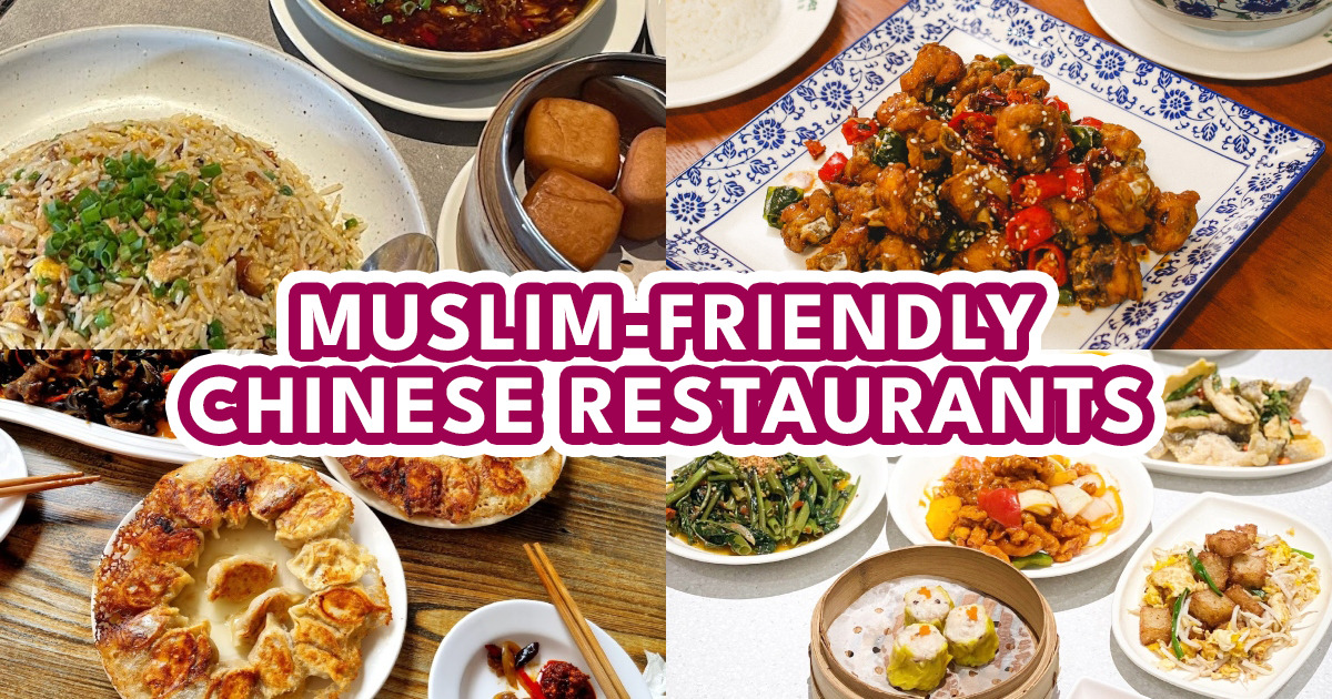 Halal chinese food near me store