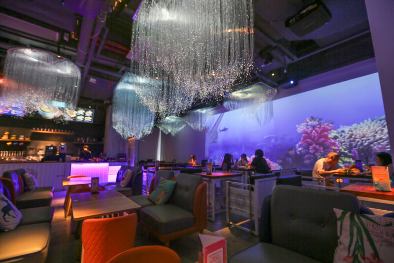 Soul Coffee: Gorgeous immersive horoscope cafe with zodiac drinks ...