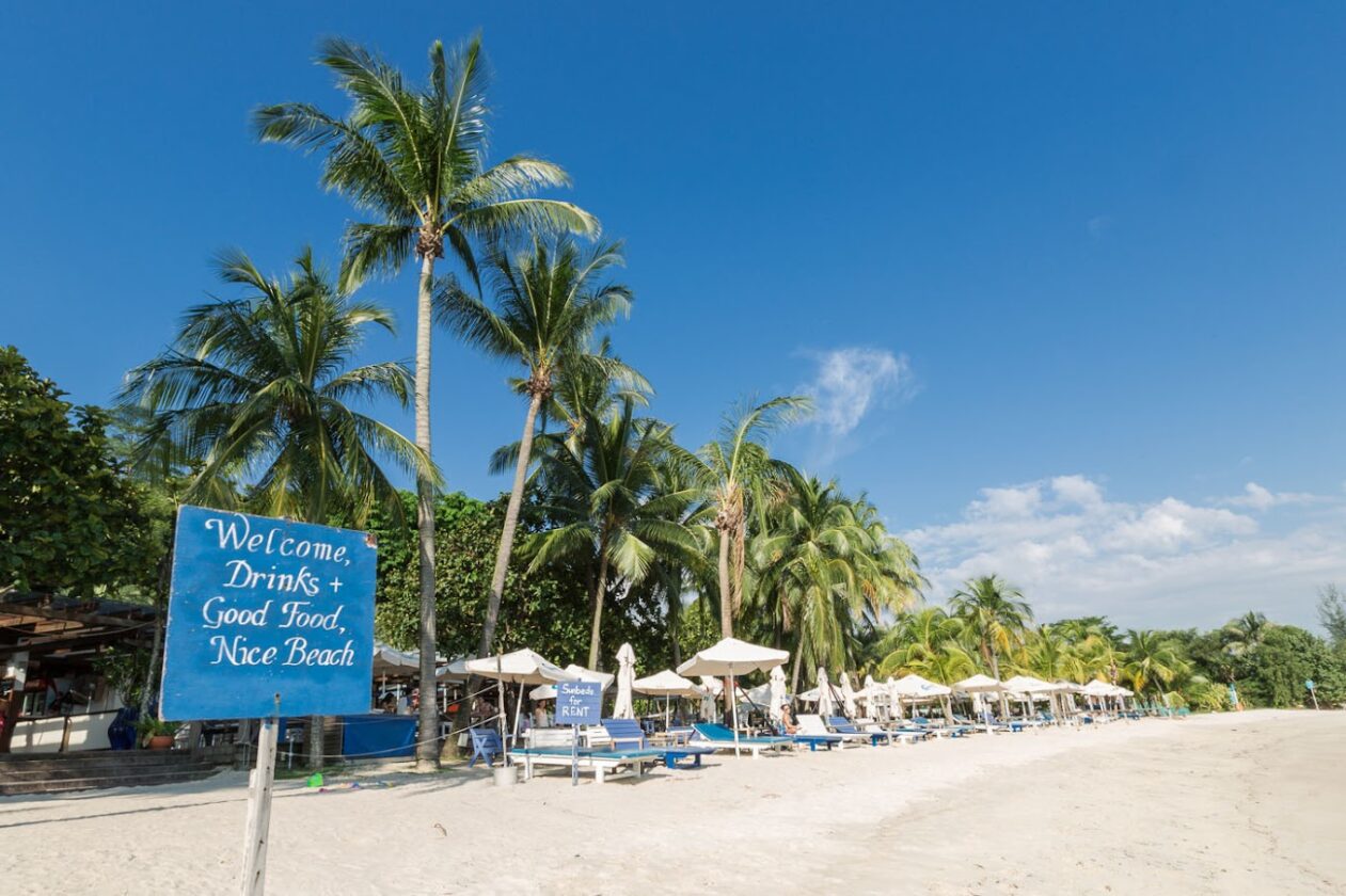Beach restaurant Coastes has a new menu with Beetroot Scallops & free ...