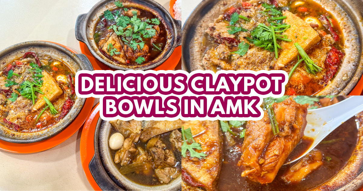 [SHIFTED] One Pot 一锅一锅的: Claypot chicken & pork mini hot pot in ...
