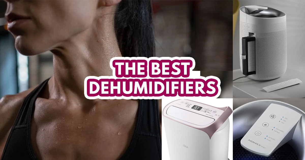 Best dehumidifiers for your home & office [Mar 2025 update] - SETHLUI.com