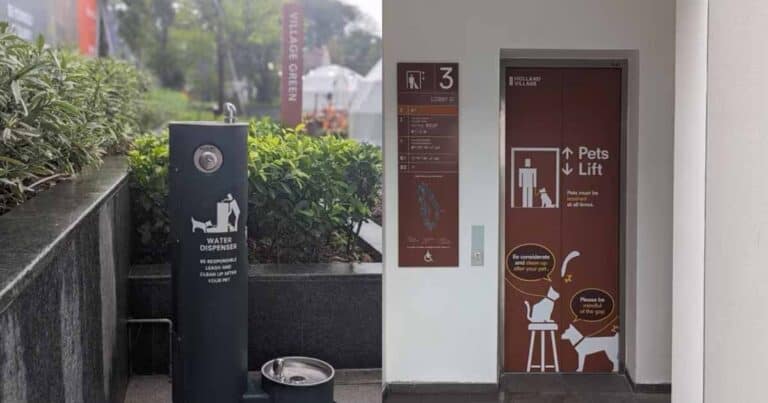 10 best pet-friendly malls in Singapore for a paw-some day out