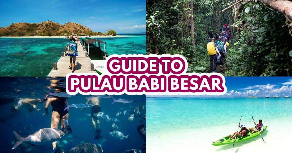 Pulau Babi Besar: Your secluded island paradise 30 mins from Johor ...