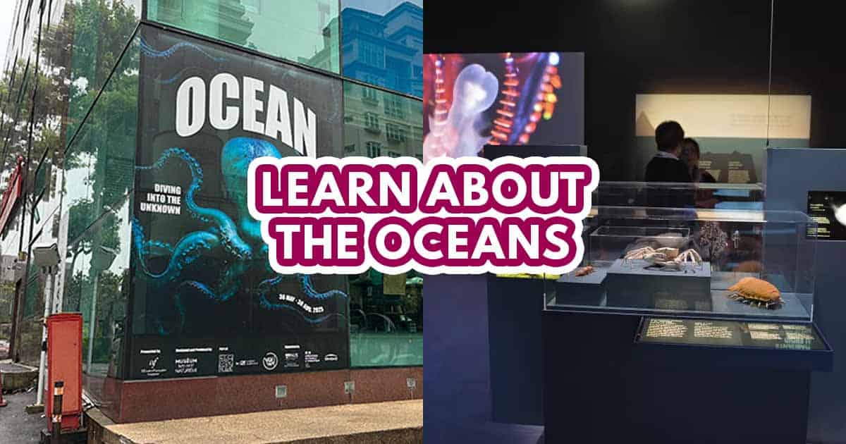 New French Excellence Programme OCEAN till 30 Aug with screenings and ...