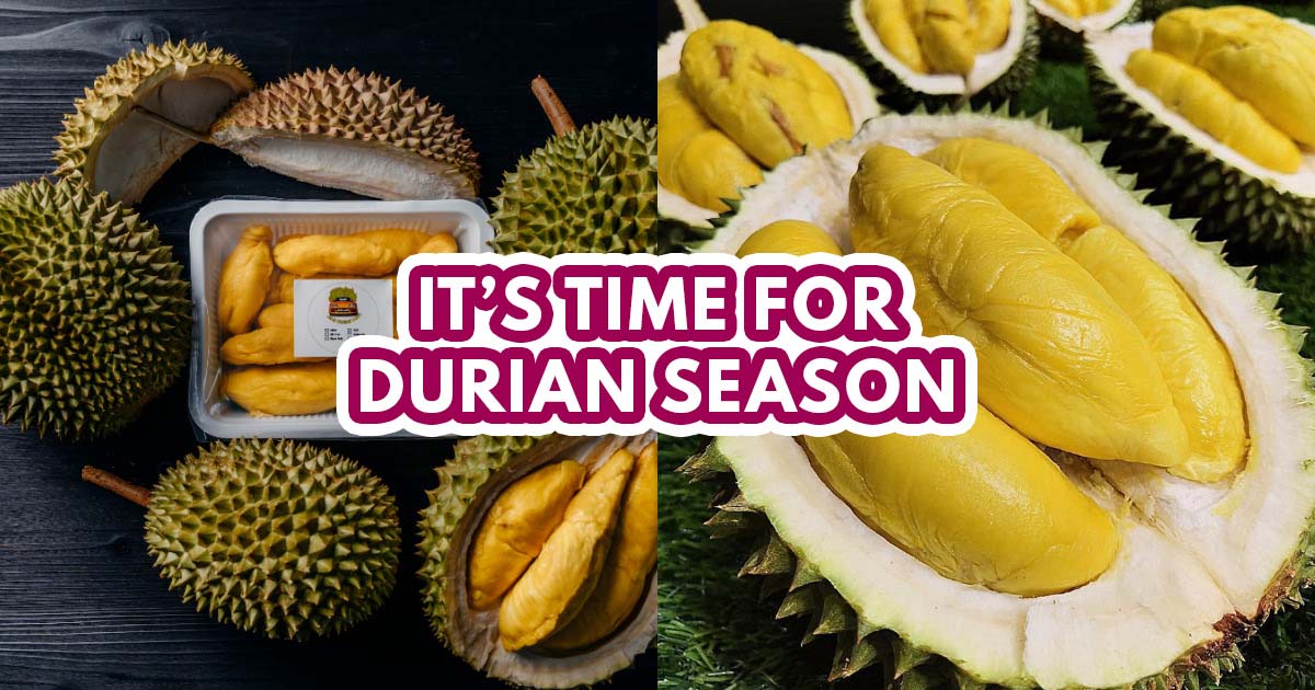 Best Durian Singapore 2025