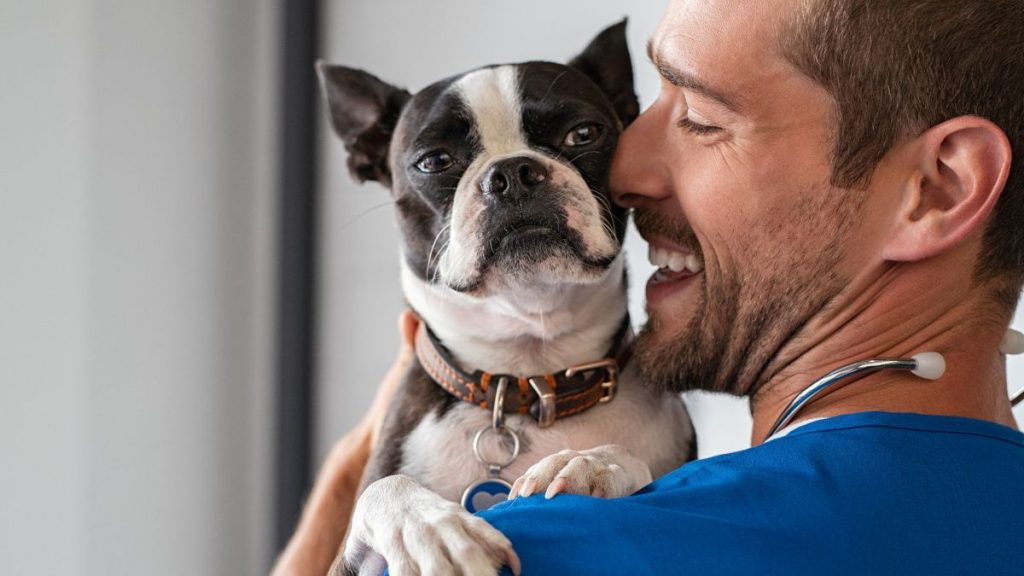 10 best veterinarians in Singapore that deserve a pat on the back ...
