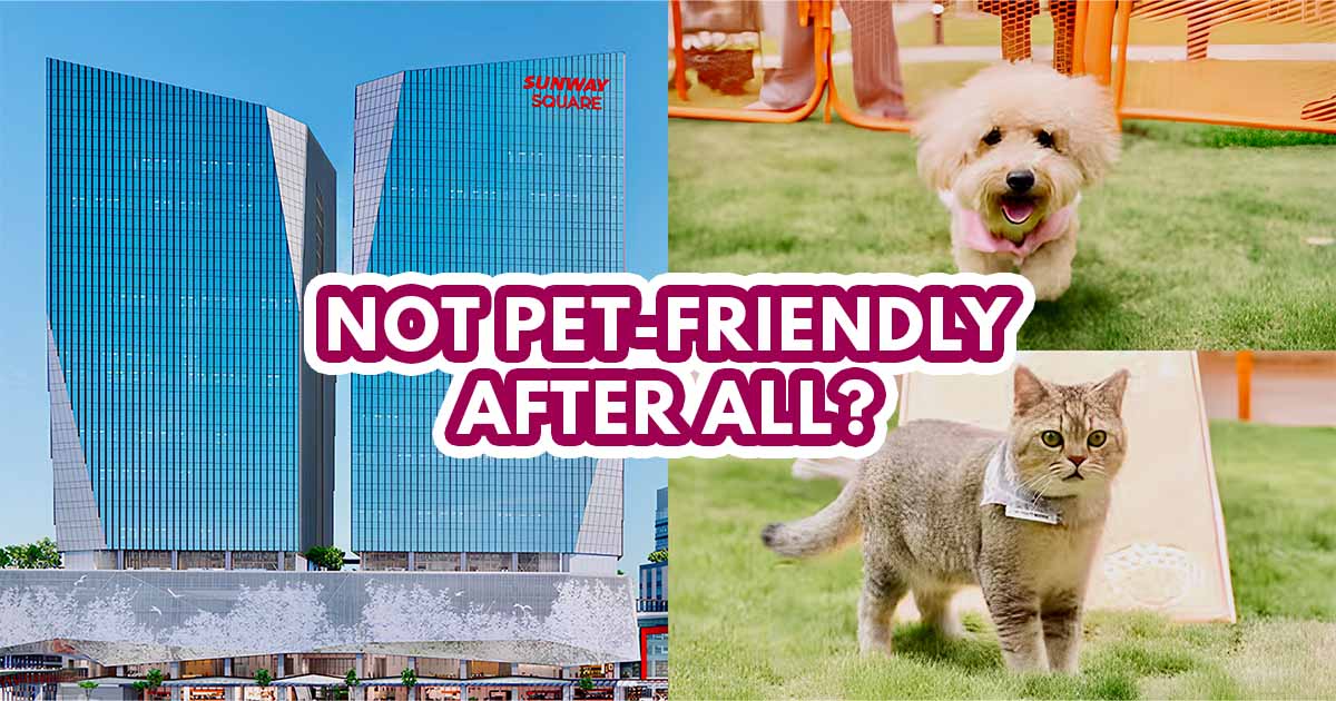 Sunway Square Mall ends pet-friendly policy shortly after opening its ...
